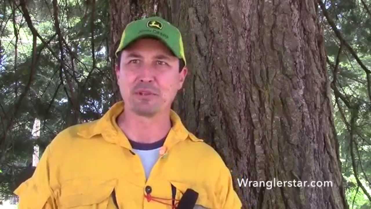 What I've Been Up To + Wranglerstar - YouTube