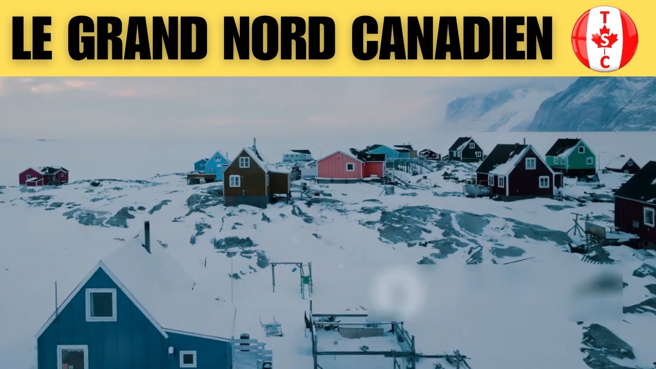 Découvrez la vie fascinante du Grand Nord canadien 🌨️ ️🌌🐻‍ ️ - YouTube