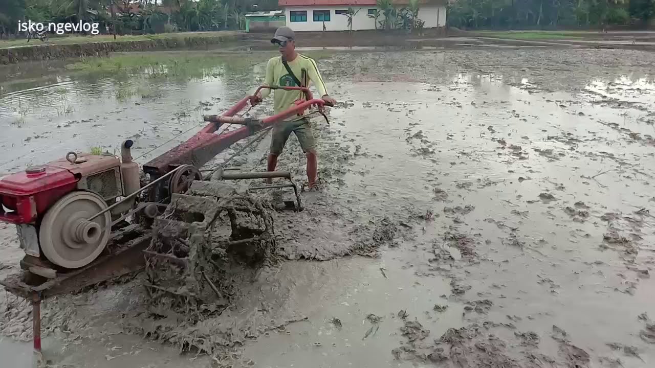 Traktor Sawah G1000 Ngebut Cepat, Gelebeg Tanah Sawah Tahap Awal - YouTube