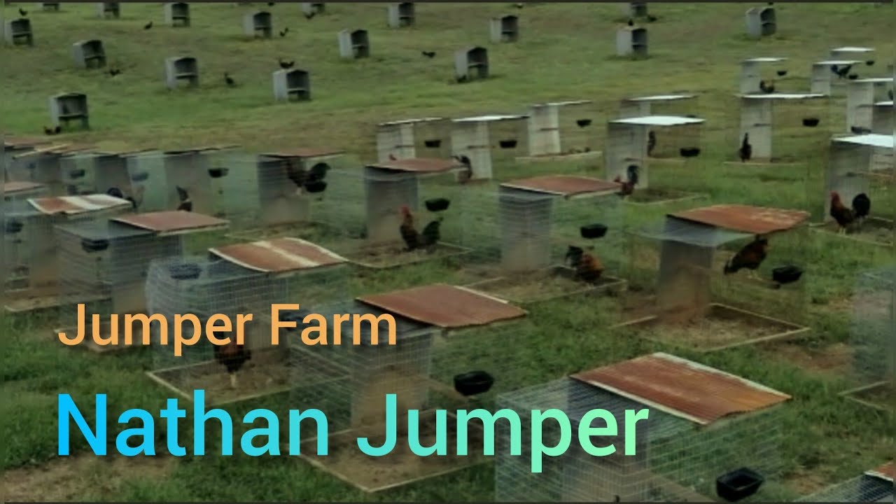 Jumper Farm|Nathan Jumper - YouTube