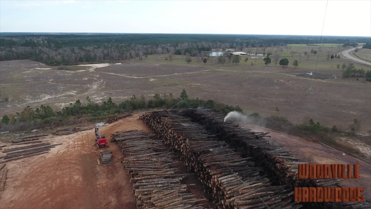 Woodville Hardwoods Drone Aerial View - YouTube