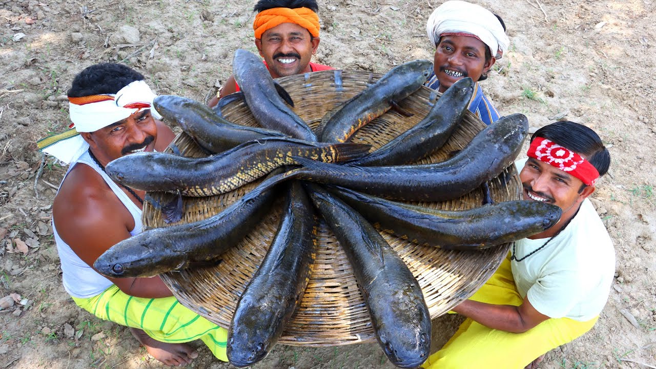 AAM SHOL FISH CURRY | Bengali Delicious Aam Shol recipe for Tribe ...