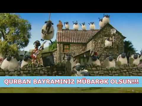 Qurban bayramniz mubarek