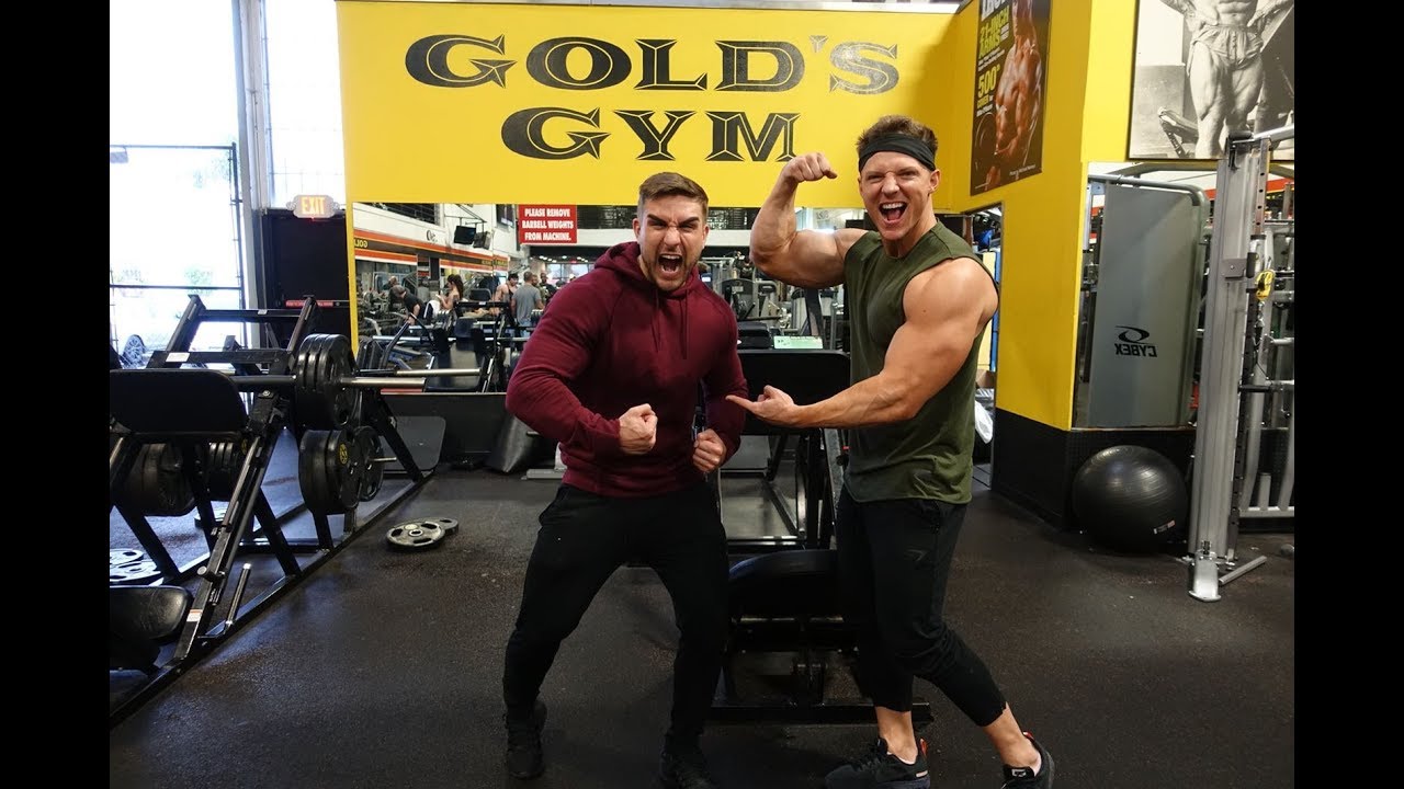 STEVE COOK | RYAN TERRY | BICEPS & TRICEPS - YouTube
