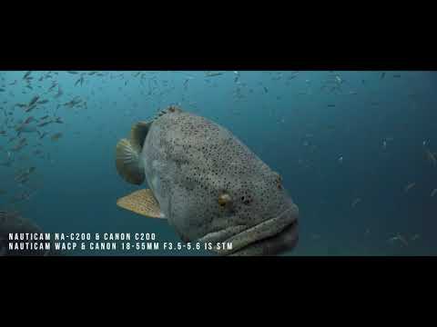 Nauticam NA C200 & WACP Showreel 2