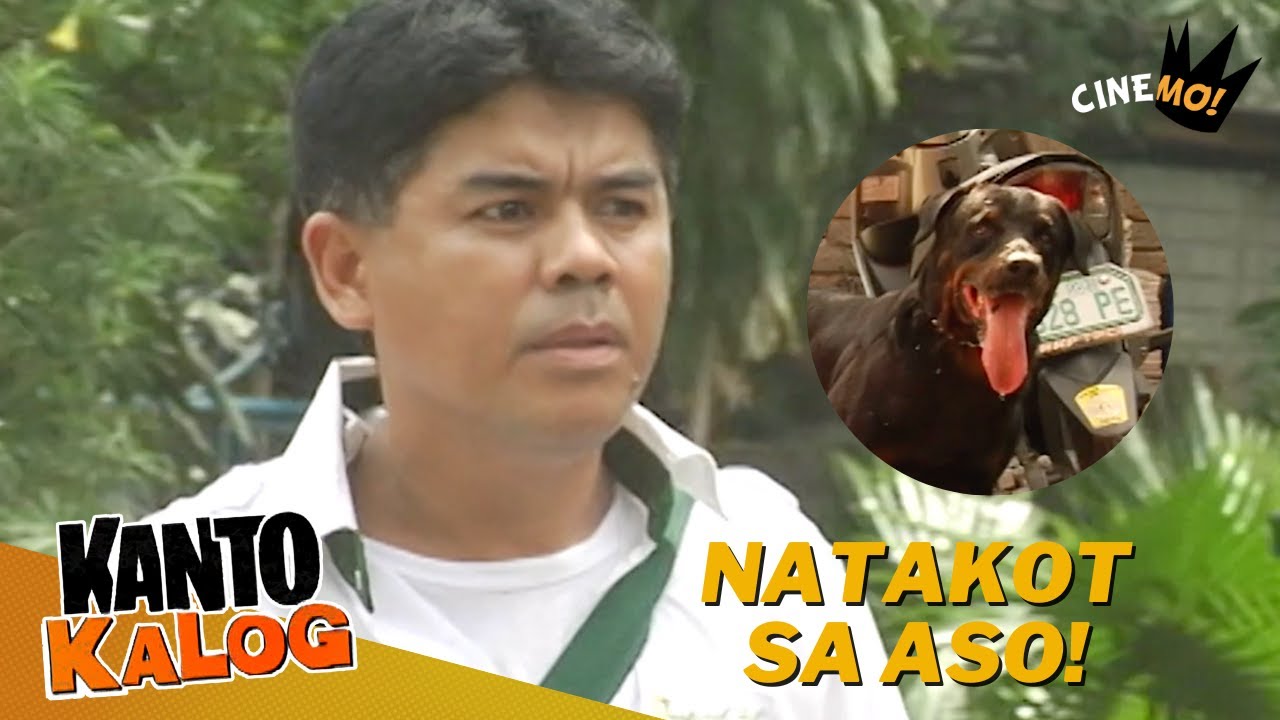 Lagot Ka Sa Alaga Ko | Kanto Kalog | CineMo - YouTube
