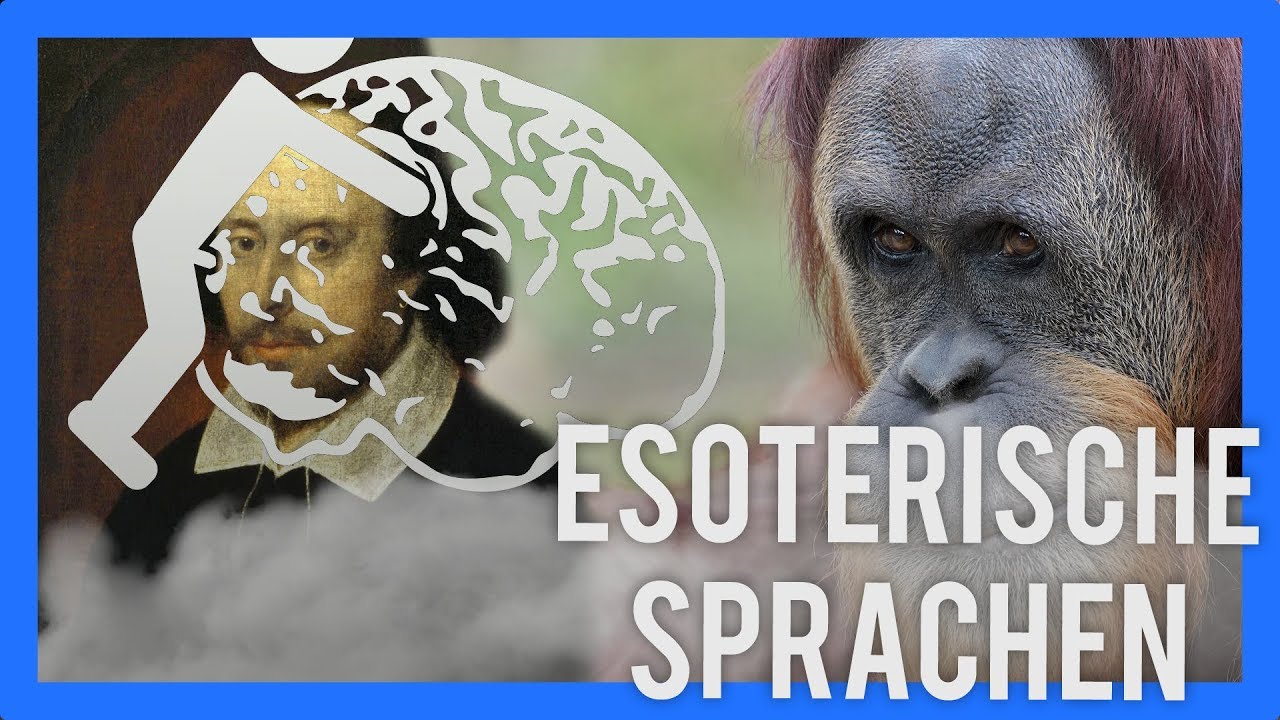 Über Brainfuck, Orang-Utans und co. 💻 Esoterische Programmiersprachen ...