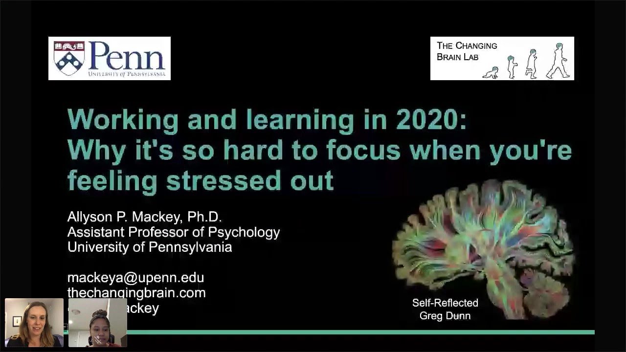 Working and Learning in 2020 (Allyson P. Mackey, PhD) - YouTube