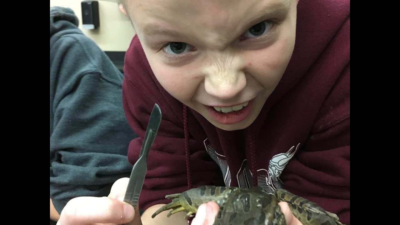 CUTTING OPEN A FROGS MOUTH!!!! - YouTube