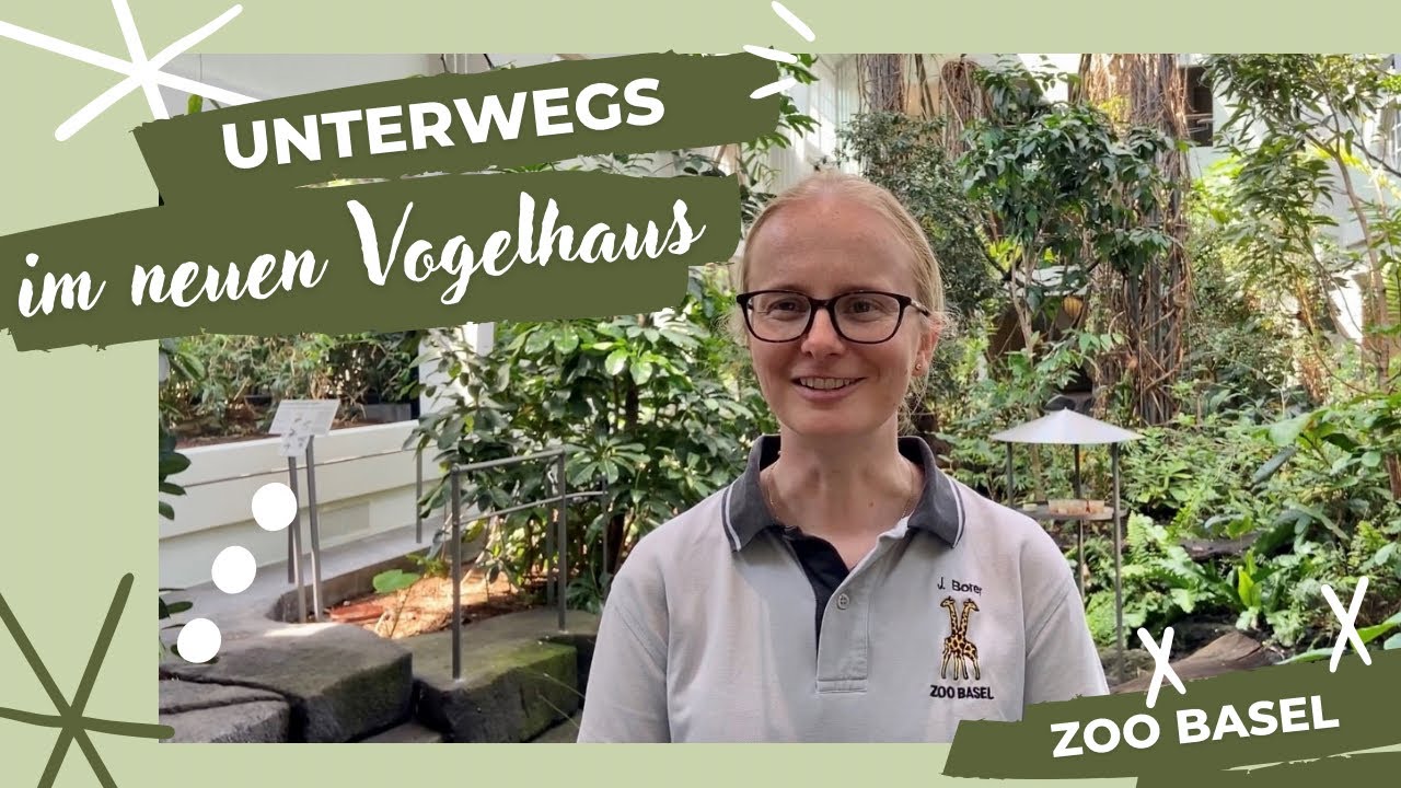 Unterwegs mit Jessica Borer im neuen Vogelhaus im Zoo Basel - YouTube