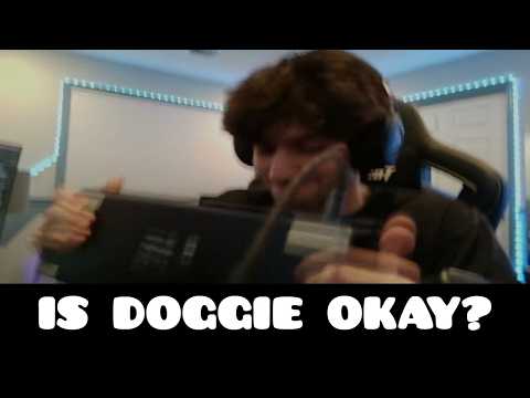 Doggie's Rage Keeps Getting Worse