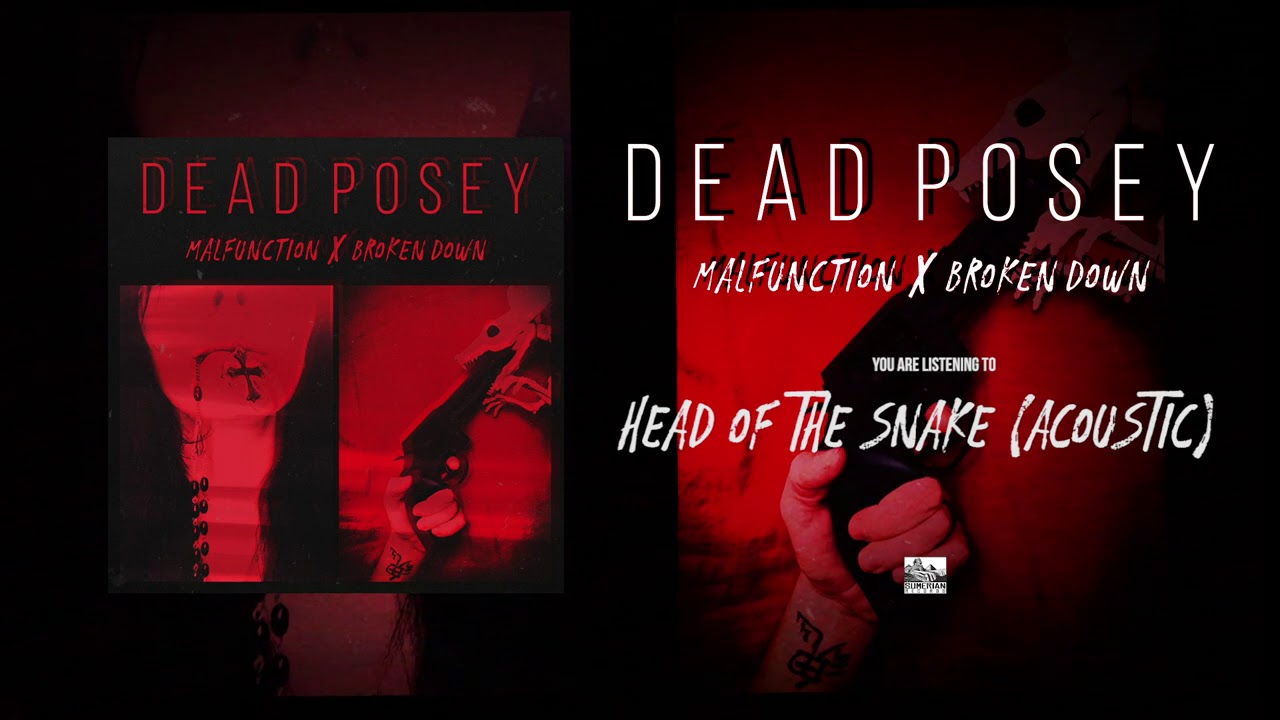 DEAD POSEY - Head Of The Snake (Acoustic) - YouTube
