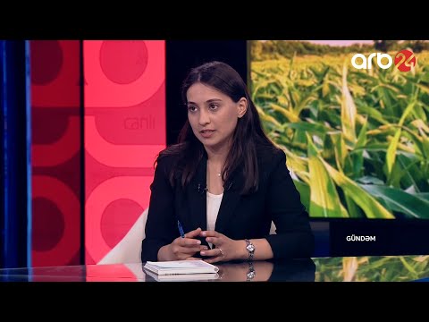 Aqrar sığorta şirkəti yaradılıb (Ləman Alıyeva) - ARB24 (Gündəm)