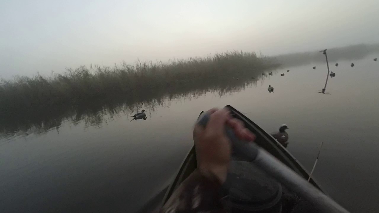 Pirogue hunt retrieving birds - YouTube