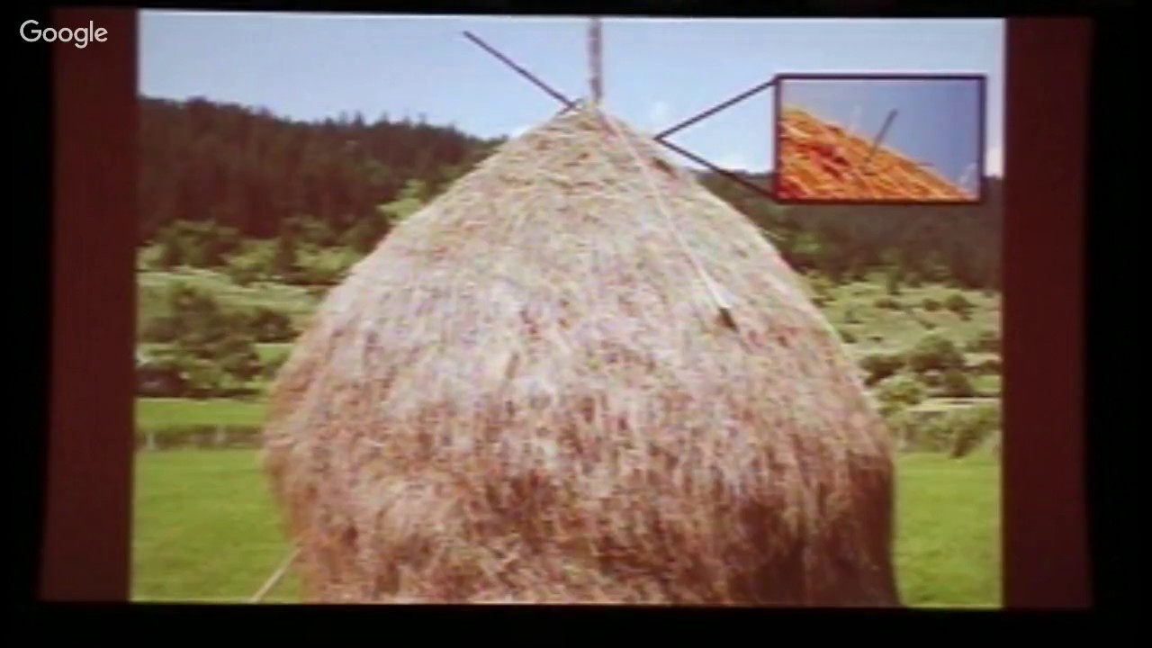 ANTARES: Finding a Needle in a Stack of Needles (Panel Presentation ...