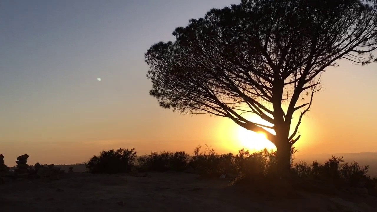 Wisdom Tree, Burbank Peak, Cahuenga Peak and Mt. Lee (Hollywood Sign ...
