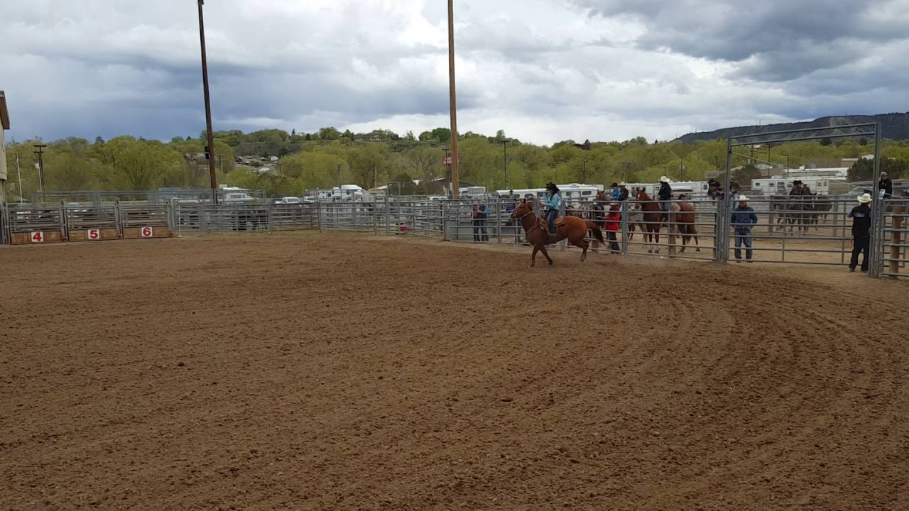 Cayce Lockhart and Playboy, Colorado High School Rodeo, Rifle - YouTube
