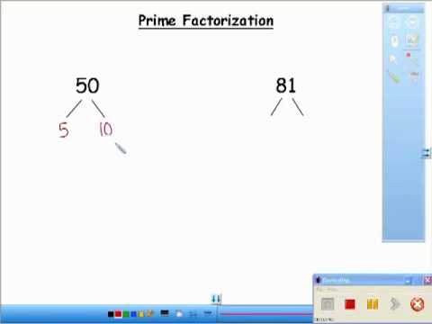 Divisibility Rules and Prime Factorization - YouTube