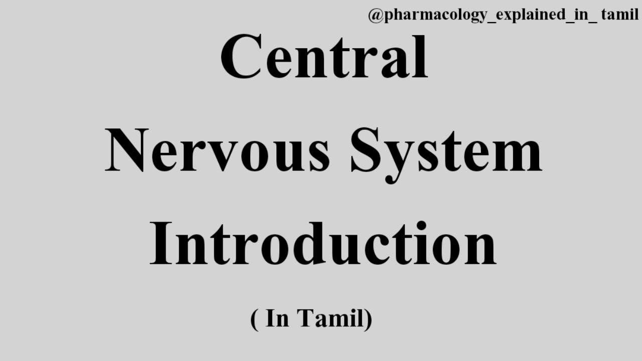 Central Nervous System (CNS) Introduction - YouTube