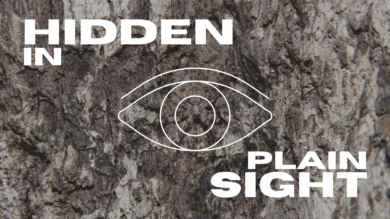 Hidden In Plain Sight Part III - YouTube
