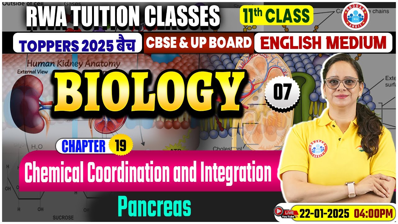 Class 11 Biology Chapter 19 Chemical Coordination and Integration ...