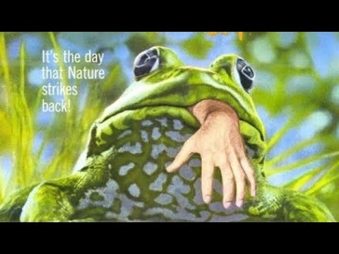 Frogs (1972) - TV Spot HD 1080p - YouTube