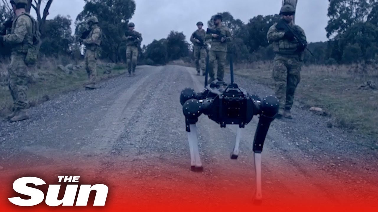 Telepathic robot war dogs commanded by soldiers’ THOUGHTS trialled ...