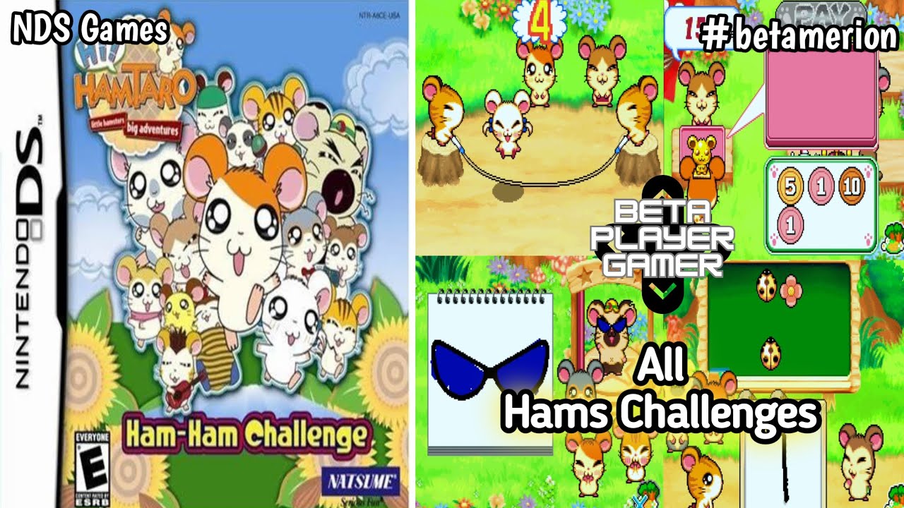 Hi ! Hamtaro : Ham Ham Challenges | Semua Tantangan | NDS Games | # ...