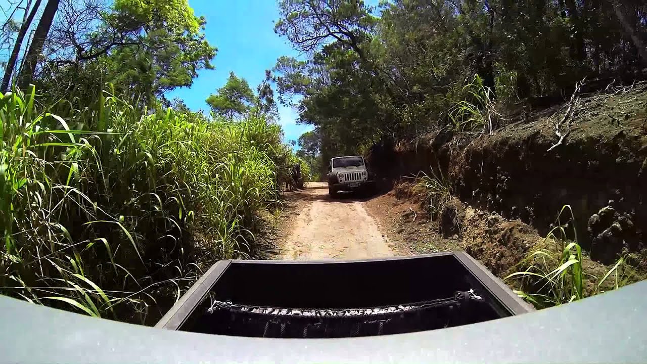 Peacock Flats - Main Trail Merge - YouTube