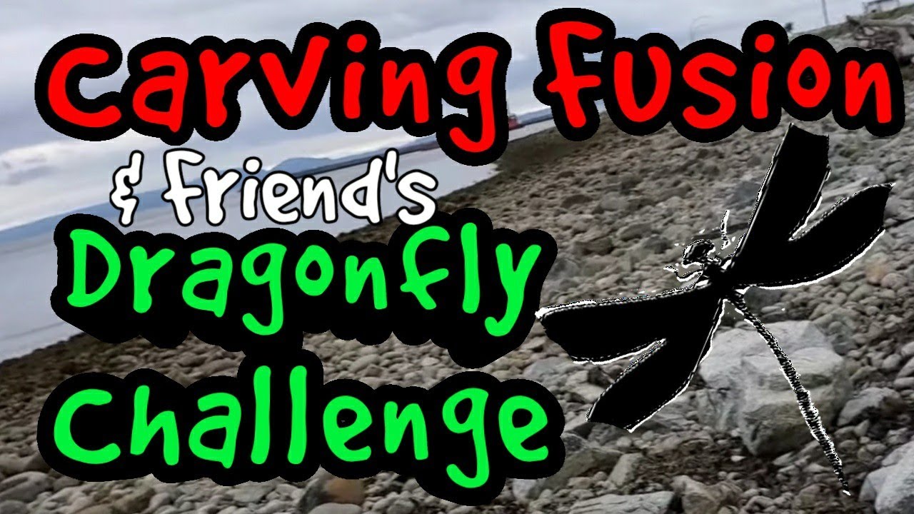 DRAGONFLY CHALLENGE! RULES & Beach Combing - YouTube
