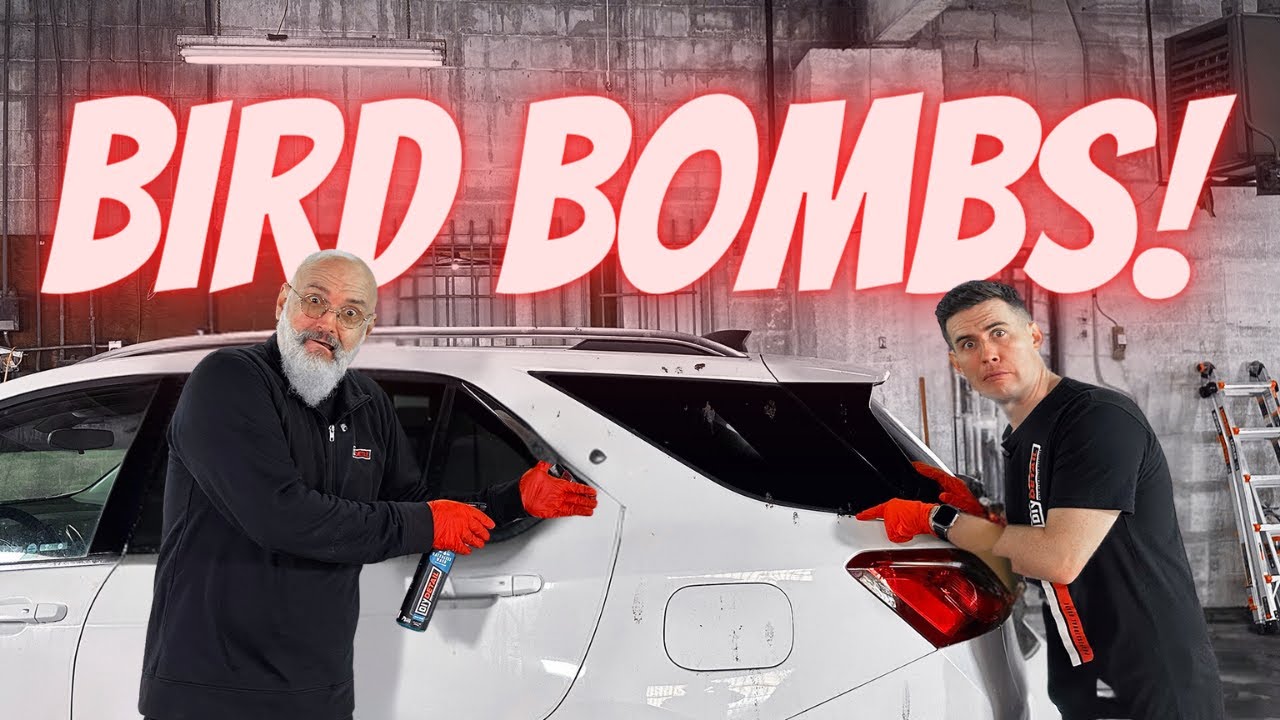 How to SAFELY remove bird bombs from your paint! - YouTube