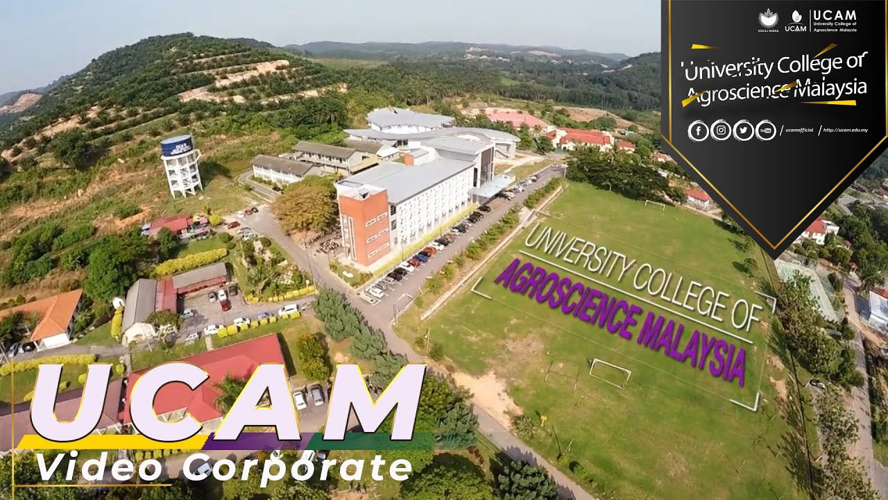 Video Corporate UCAM Full HD - YouTube
