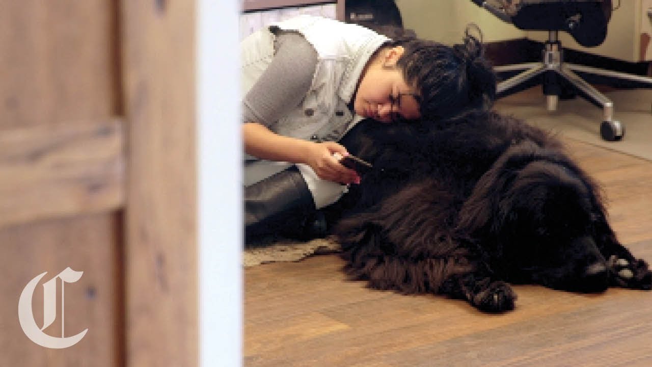 Fostering Failure: Teenager Describes Experience in California Foster ...