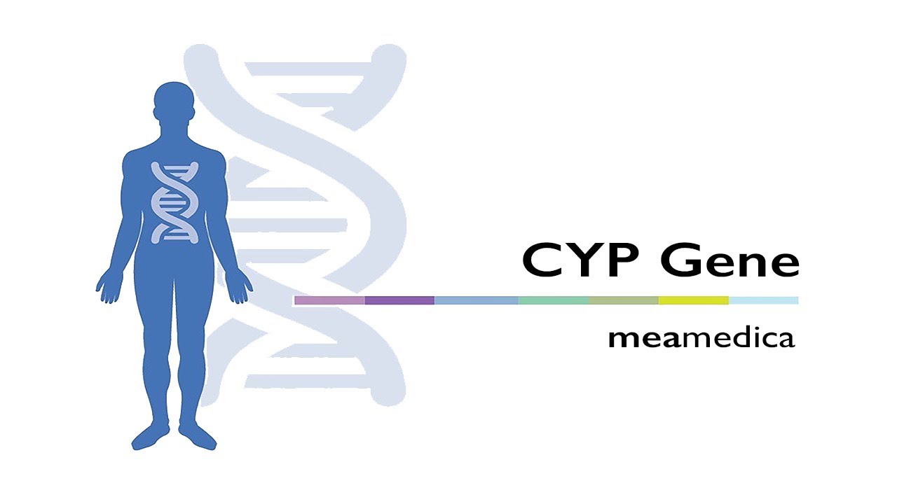 CYP Gene - Erklärung von Genvariationen und Wirkmechanismus (Deutsch ...