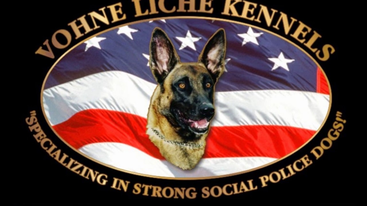 Evolution of VLK Logo's - YouTube