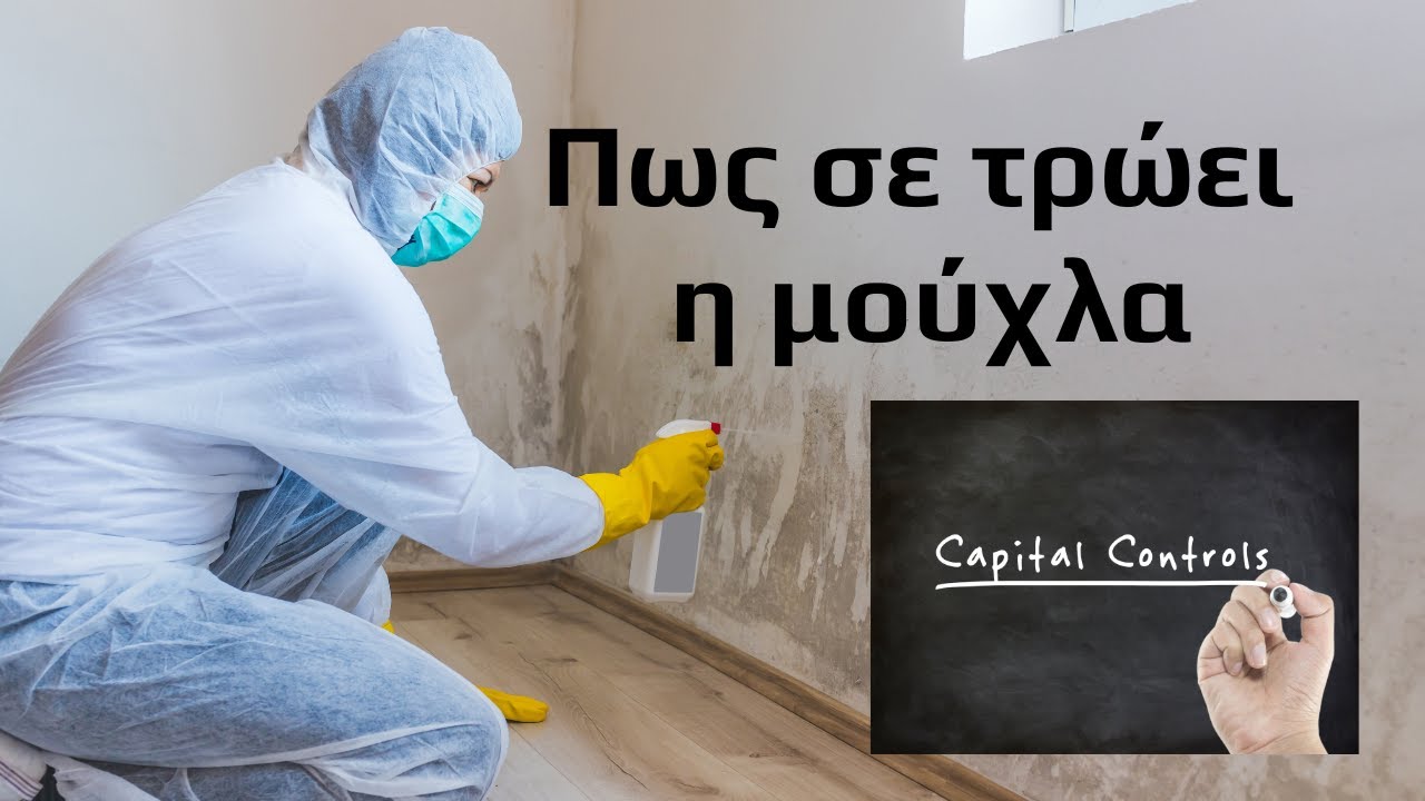 Tipps να αποφύγεις την μούχλα στο σπίτι. Υπάρχει ομως μια άλλη "ράτσα ...
