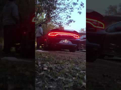 CAMMED HELLCAT COLD START