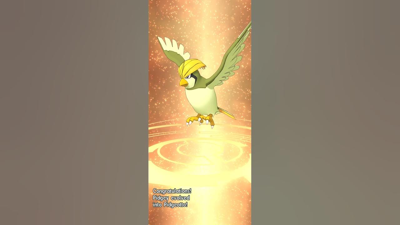 EVOLVING SHINY PIDGEY TO PIDGEOTTO TO PIDGEOT | Pokemon Masters EX - YouTube