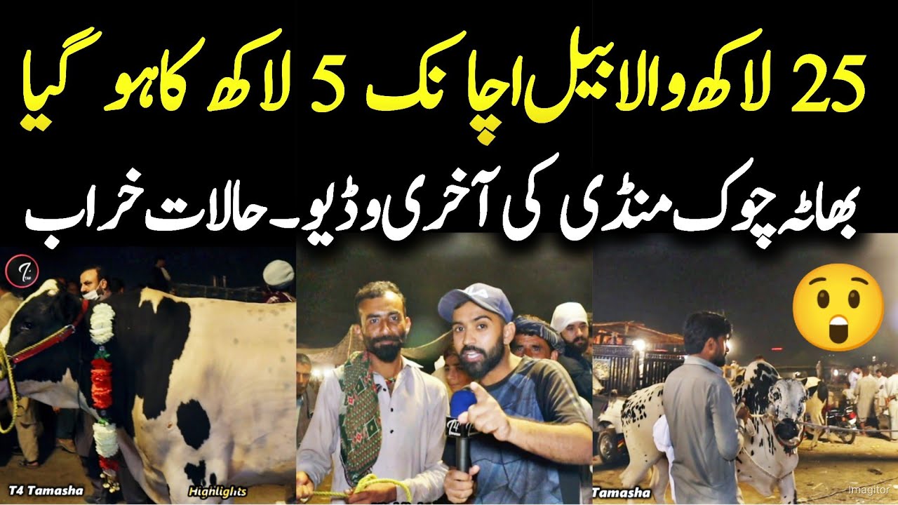 Last video bhaata chok mandi 2023 - bakra Mandi 2023 - live Bargaining ...