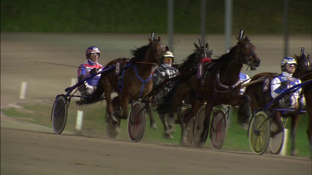 Victoria Park Wolvega 14-02-2020 Koers 8 Jaya Energy - Jaap van Rijn ...