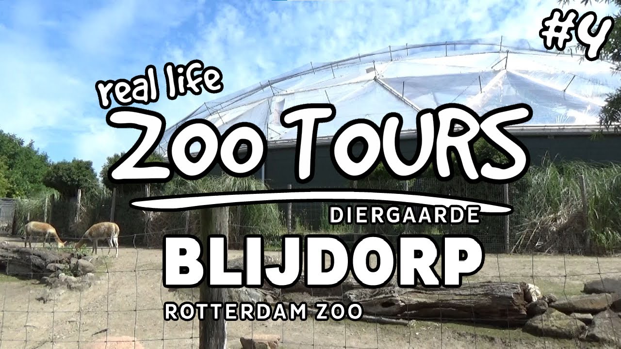 Blijdorp, Amazonica! | Real Life Zoo Tours (ft. @Iben) - YouTube