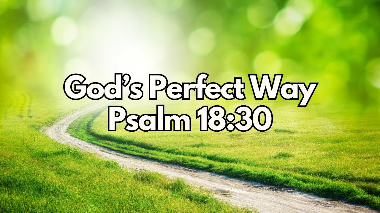God’s Perfect Way - Psalm 18:30 - Daily Devotion - Daily Bible Verse ...