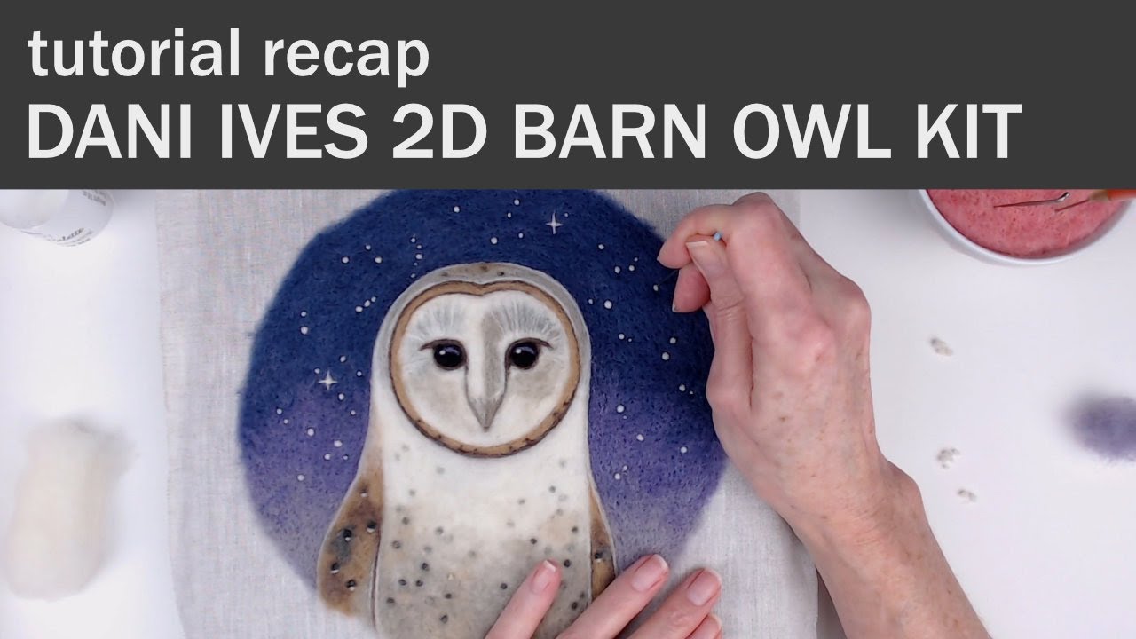 I Completed Dani Ives 2D Needle Felted Barn Owl Kit & Tutorial From ...