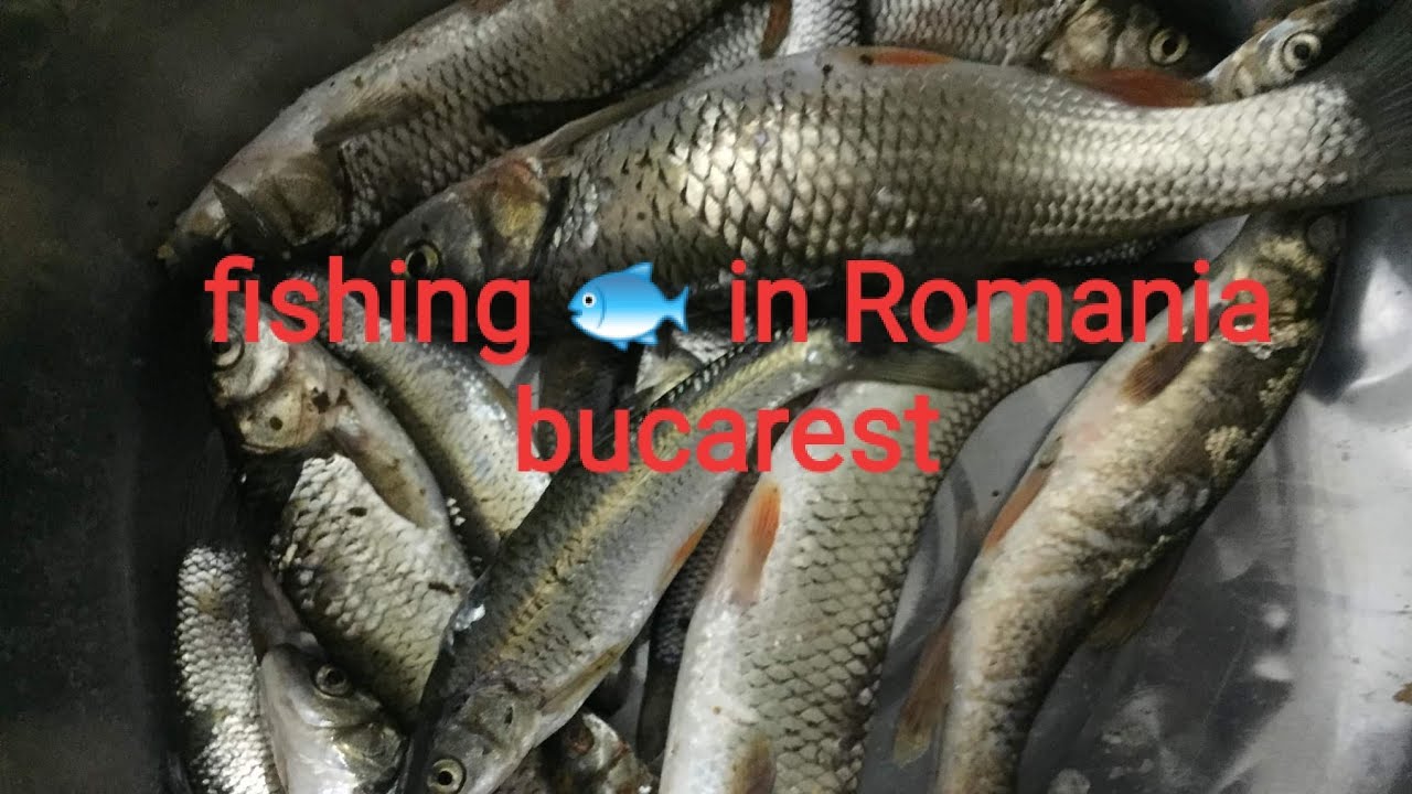 fishing in Romania - YouTube