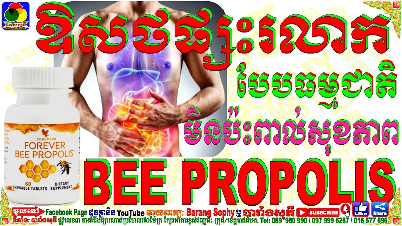 Bee propolis៖ ជួយផ្សះរលាកធម្មជាតិ មិនប៉ះពាល់សុខភាព ផ្សះរលាកក្រពះពោះវៀន បេះដូង សួត ថ្លើម បំពង់ក ...