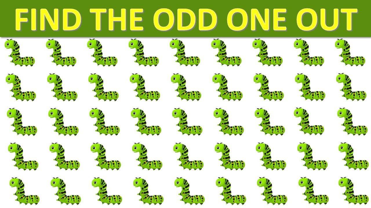 Can You Find the Odd One Out in These Pictures? Odd one out brain ...