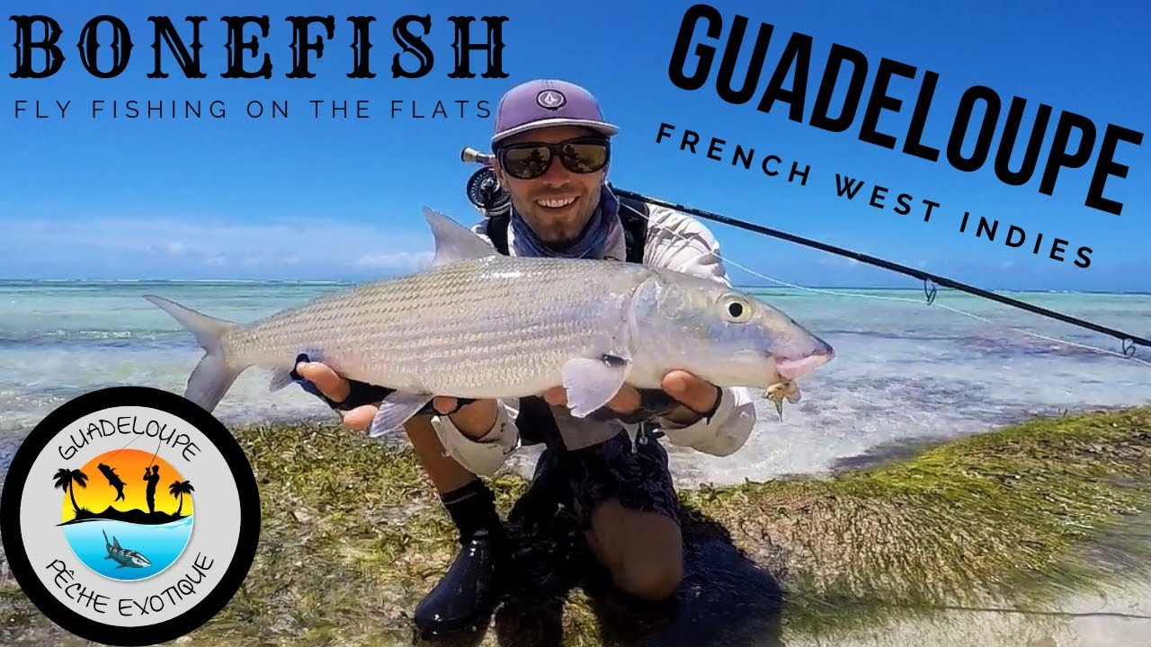 Fishing BONEFISH from GUADELOUPE - French West Indies - YouTube