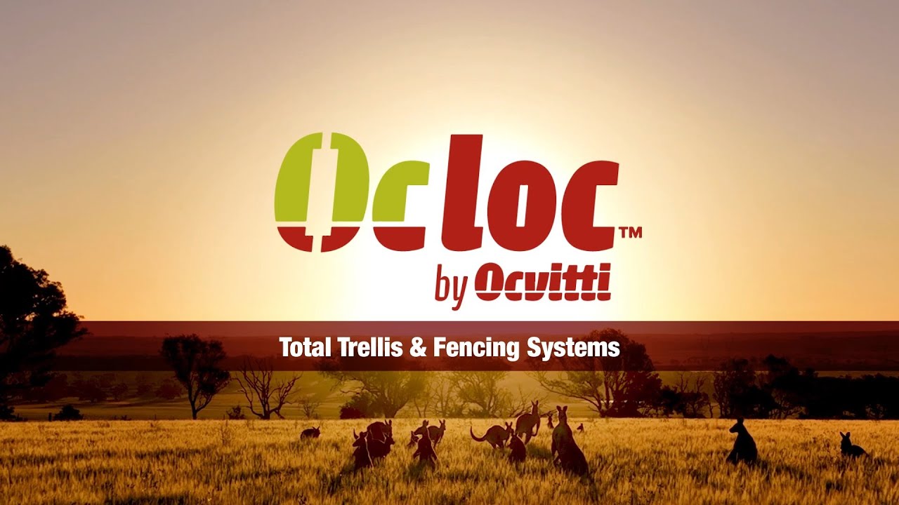 Ocloc Australia - YouTube