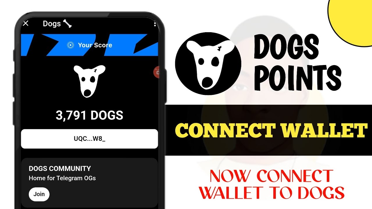 Connect TON Wallet to DOGS Points | How to Connect Wallet To DOGS ...