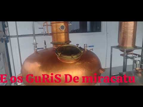 e os GuRiS no passeio no sul - YouTube